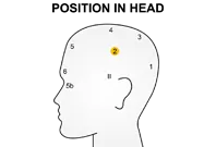 Subtle System Overview - Guided Meditation - Sahaja Online