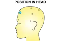 Subtle System Overview - Guided Meditation - Sahaja Online