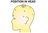 Subtle System Overview - Guided Meditation - Sahaja Online