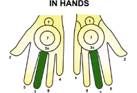 Subtle System Overview - Guided Meditation - Sahaja Online