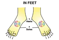 Subtle System Overview - Guided Meditation - Sahaja Online